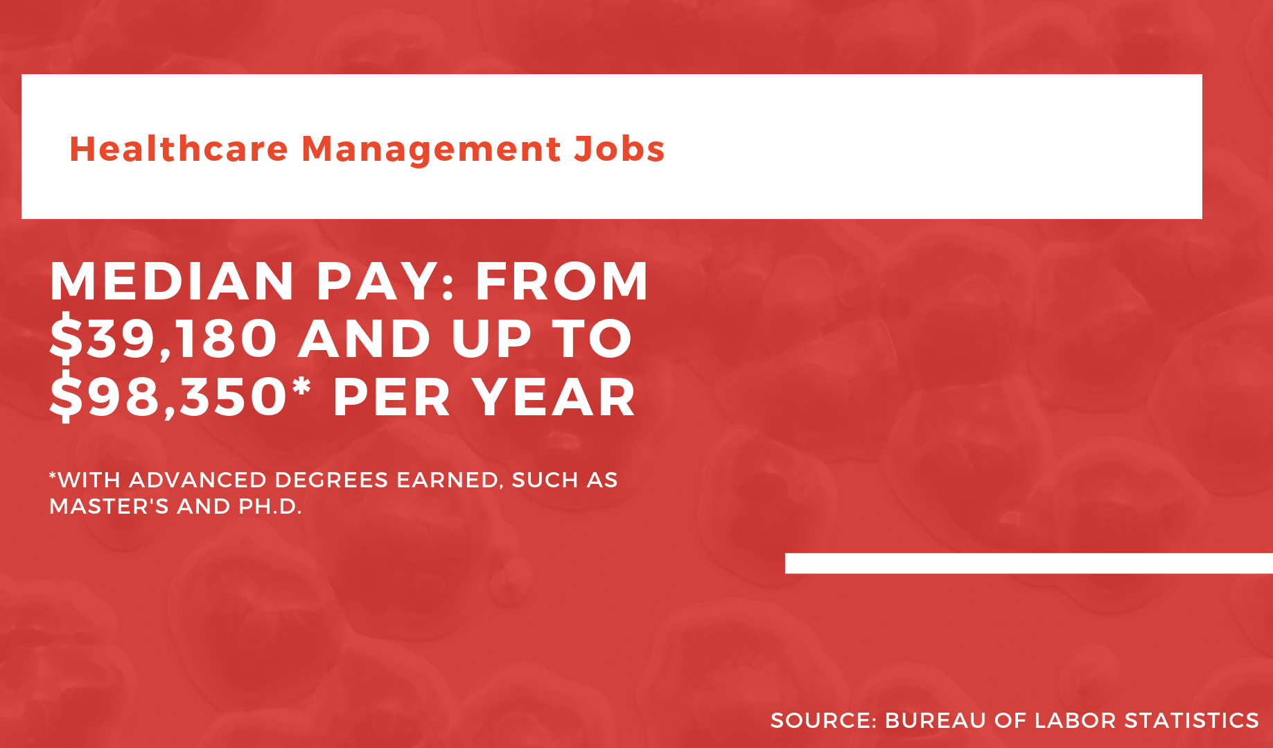 The 20 Best Online Schools for Bachelor’s in Healthcare Management ...